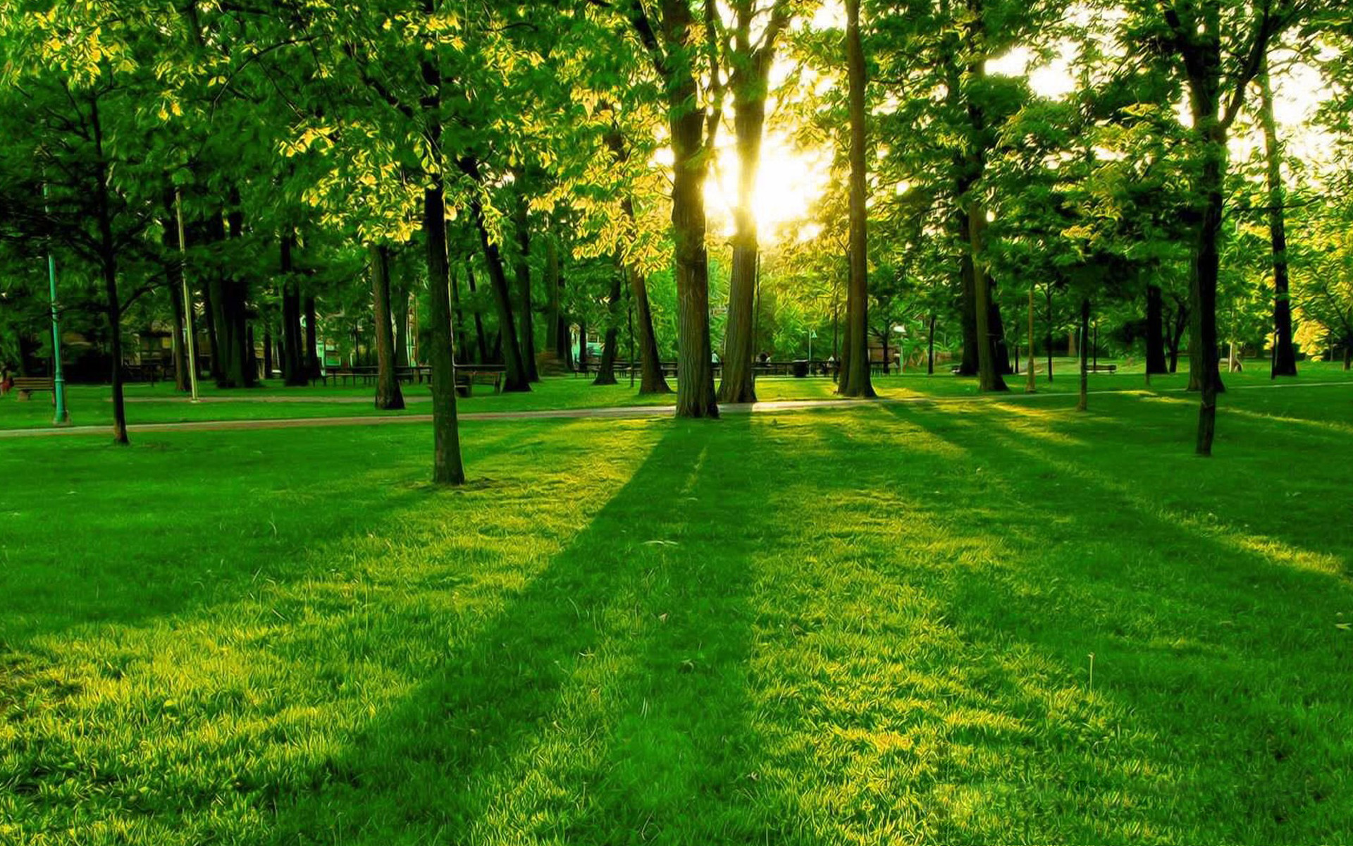 Index of /wp-content/uploads/